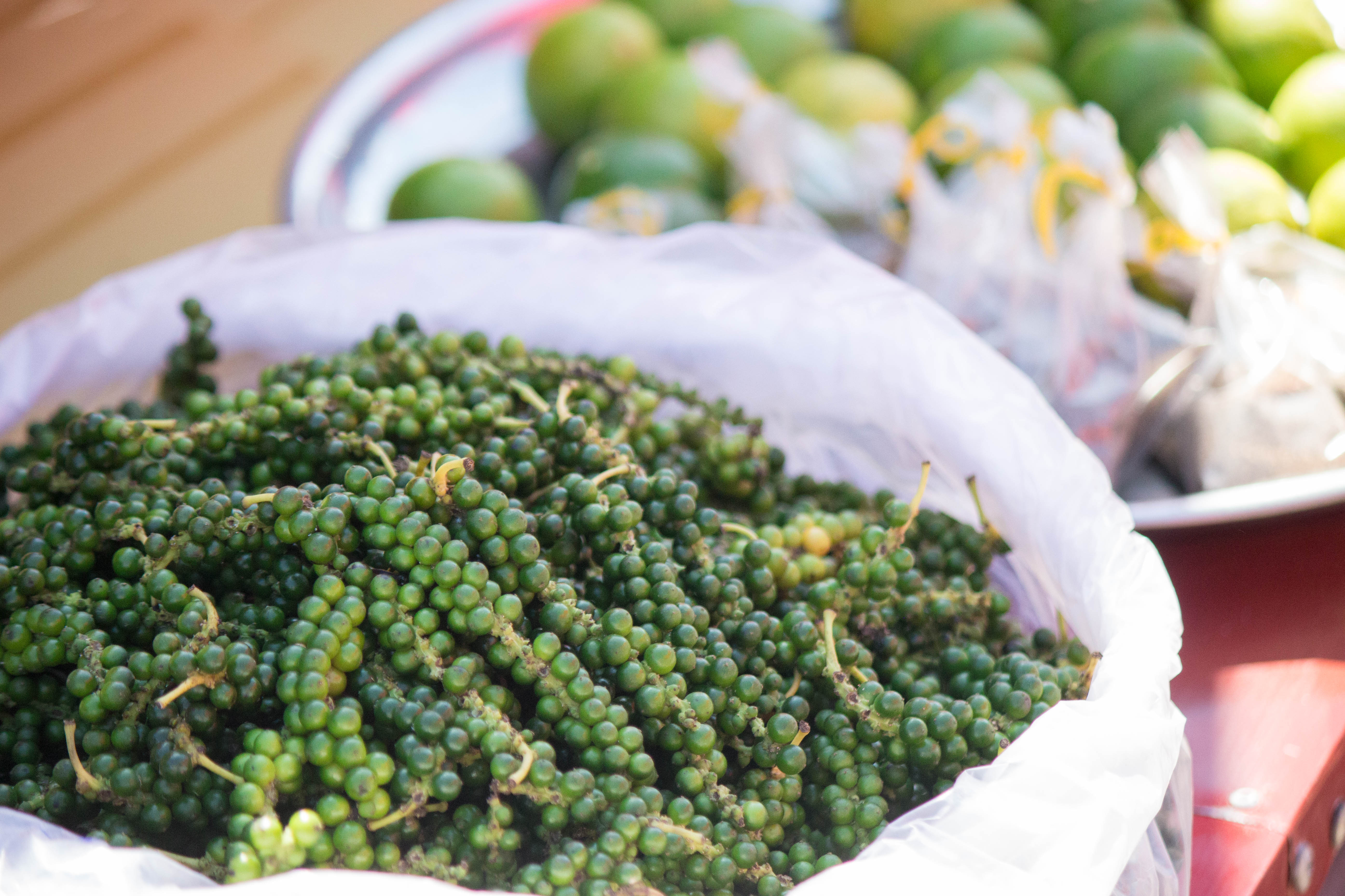 IMG_1358｜絶景in - 海外旅行記